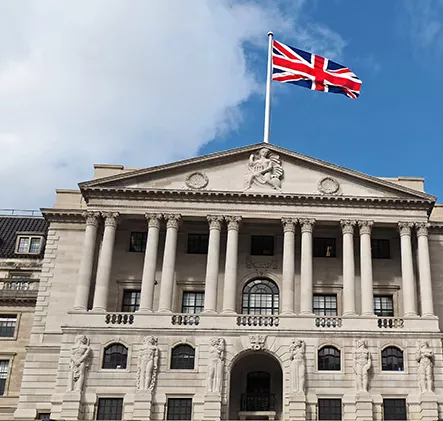 IGD | insight, training and best practice for the grocery industry